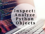 Inspect Analyze Python Objects
